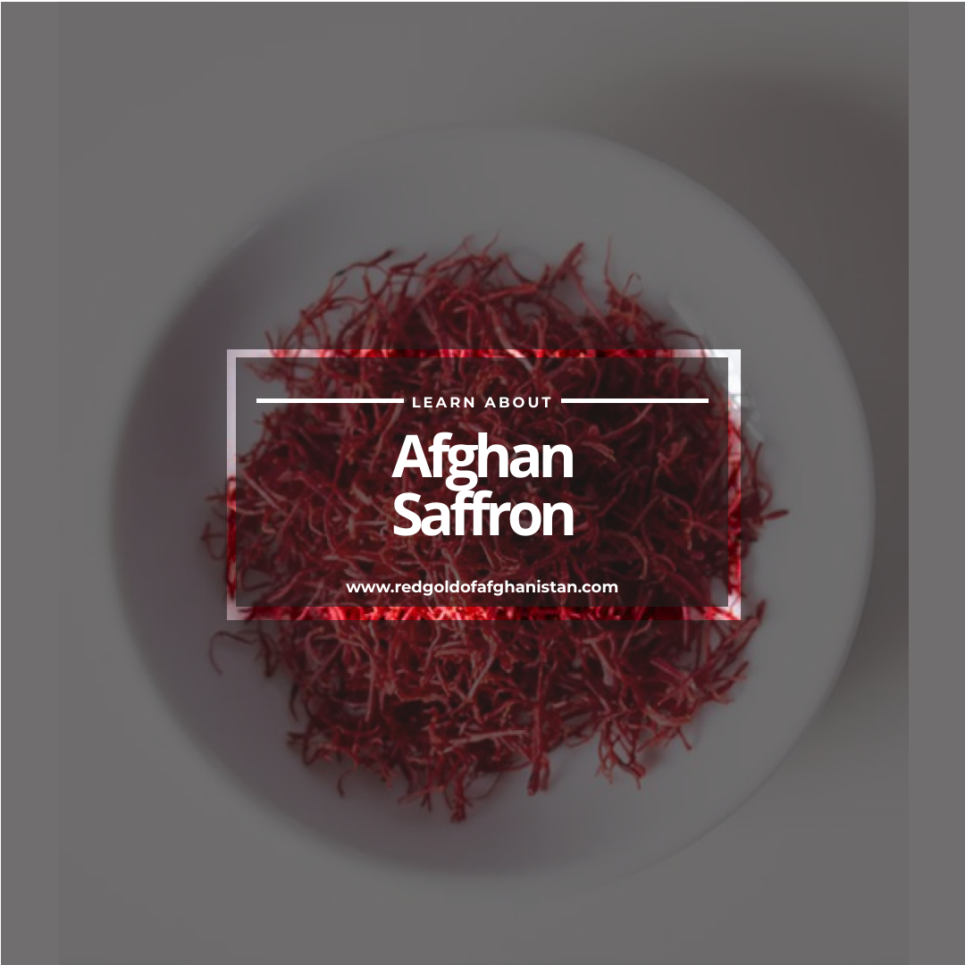 An Introduction to Afghan Saffron – Red Gold of Afghanistan - Premium ...
