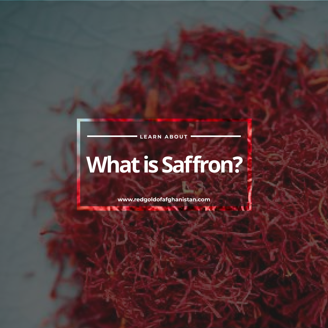What is Saffron? – Red Gold of Afghanistan - Premium Afghan Saffron